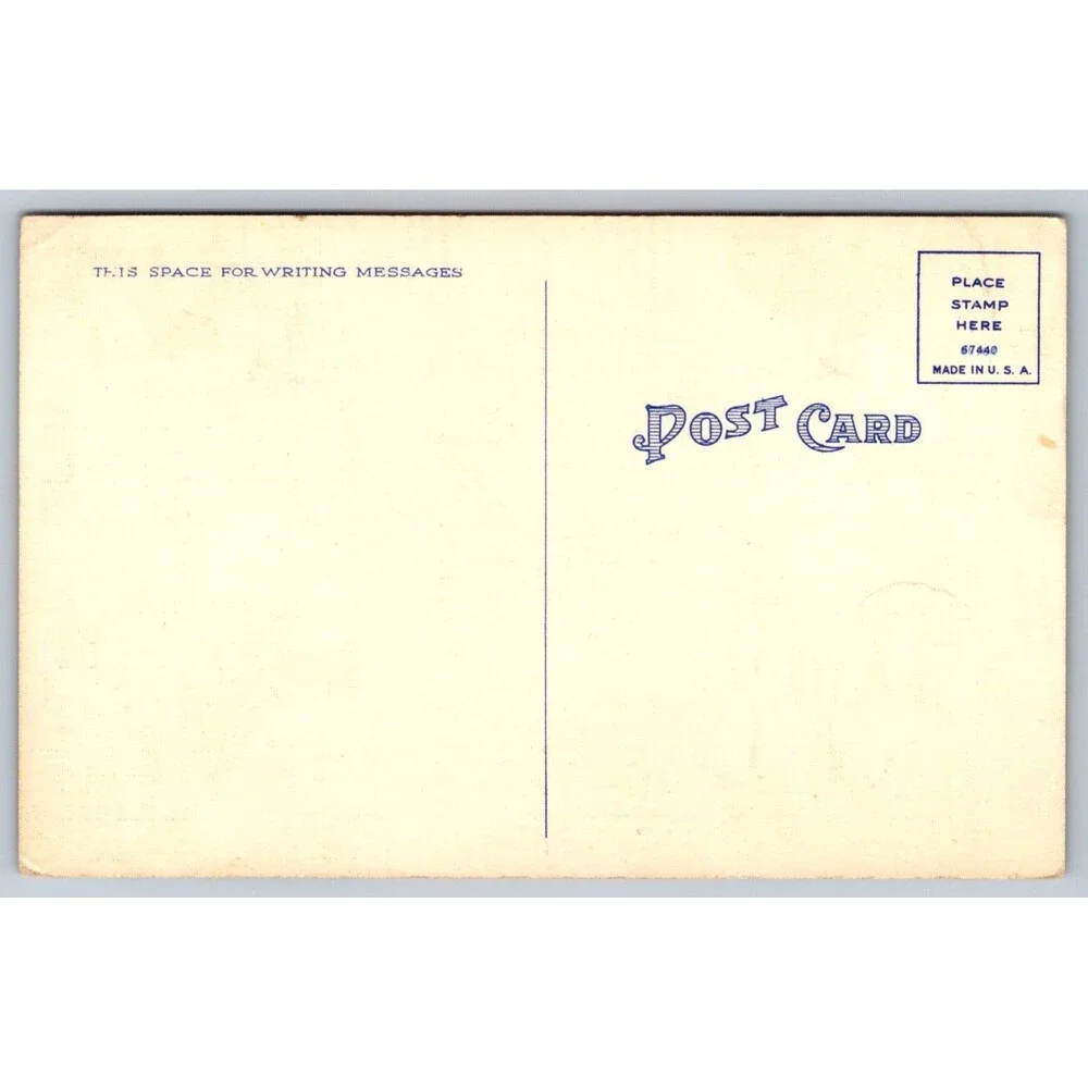 Accents | Vintage 194s Linen Postcard Legend Of The Spanish Moss Don ...